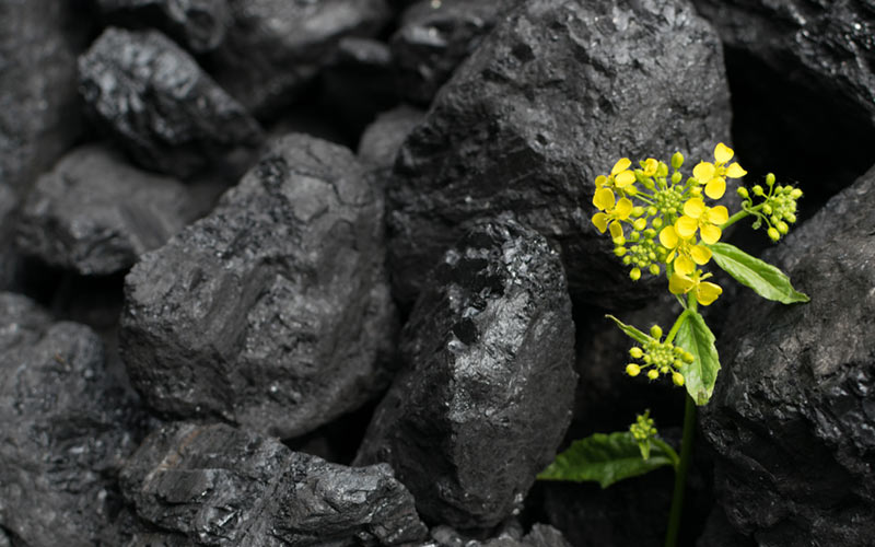 قیر طبیعی چیست؟ {ویژگی‌های قیر طبیعی یا قیر معدنی چیست}